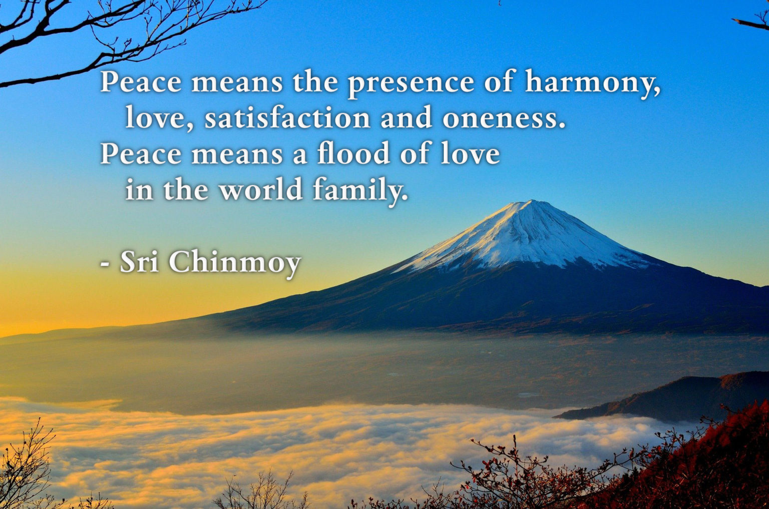 Quotes on Peace — Student of Peace – Sri Chinmoy